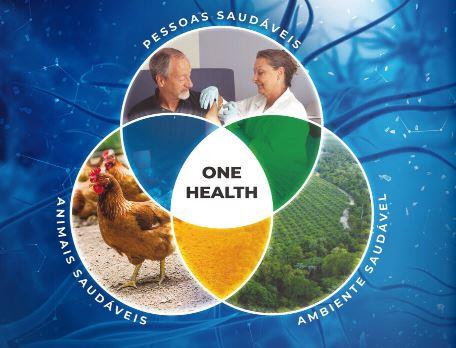 Entenda o que é o One Health e como o mundo está trabalhando esse ...