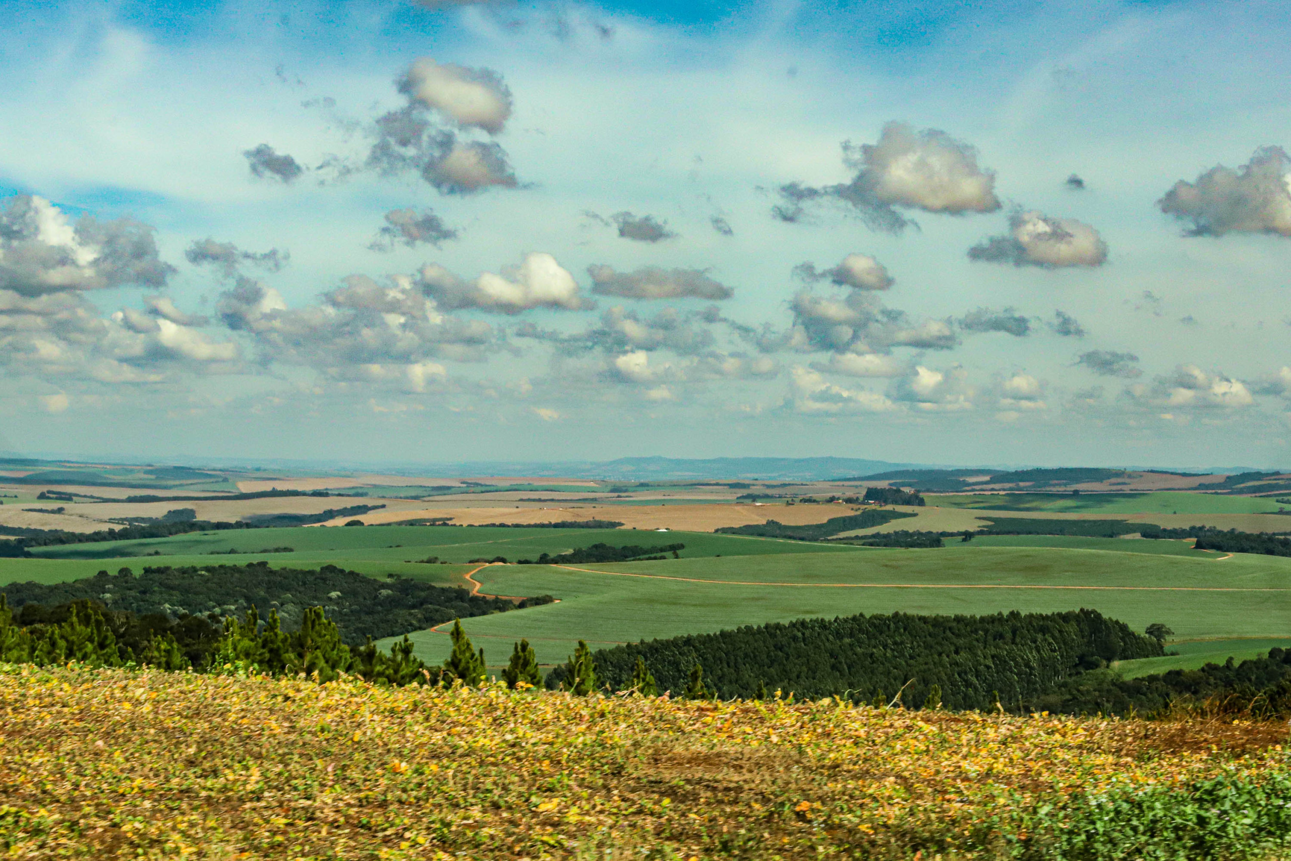 Deral divulga pesquisa sobre preços de terras agrícolas no Paraná ...