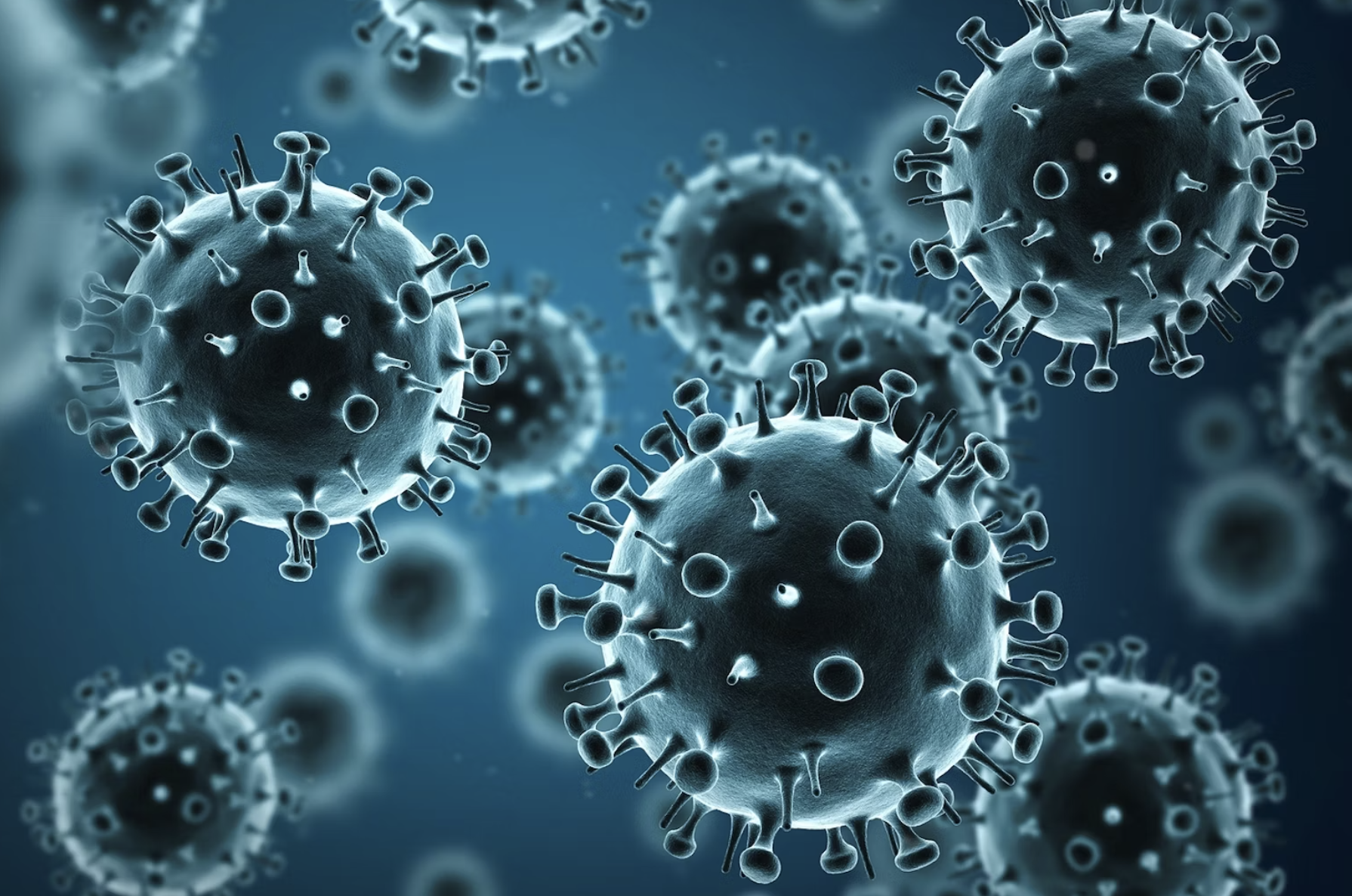 Seapi intensifica medidas de prevenção após caso de Influenza Aviária ...